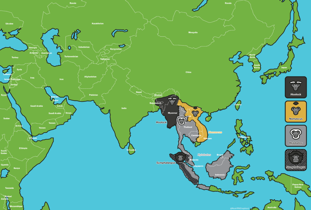 Where do gibbons live? – Section on Small Apes